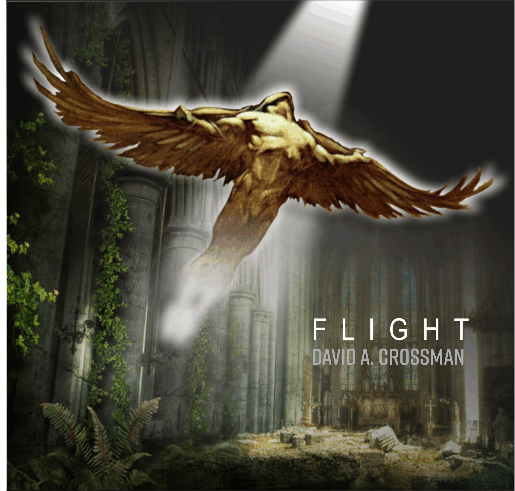 Flight | David A. Crossman